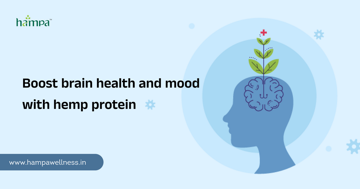 How Hemp Protein Supports Mental Health and Cognitive Function – Hampa ...